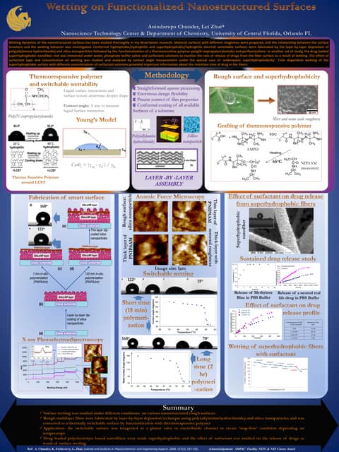 Ferrell NSF REU Poster | PPT
