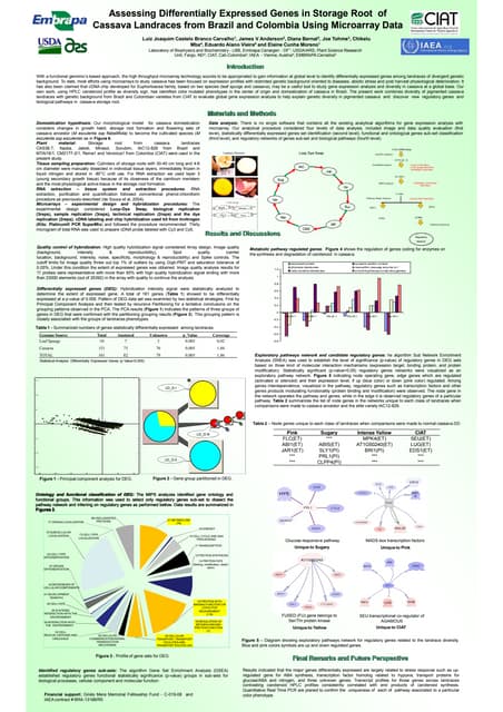 Poster ibp very last version | PPT