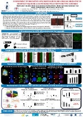 BIOMIMESYS® Liver, a 3D cell culture model for maintaining and ...