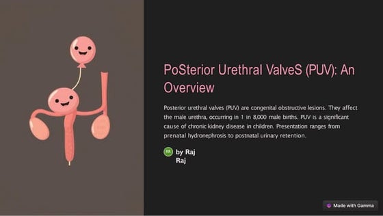 Posterior-Urethral-Valves-PUV-An-Overview (1).pptx