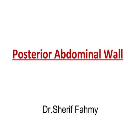 Posterior Abdominal Wall (Anatomy of the Abdomen) | PPS