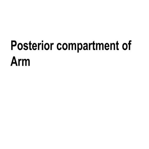 Posterior Compartment of the Arm-converted.pptx