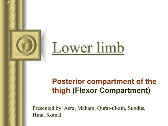 CUBITAL FOSSA Anatomy and it's clinical relevance | PPT