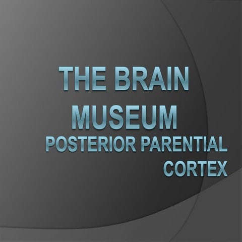 Posterior Parietal Cortex! | PPT