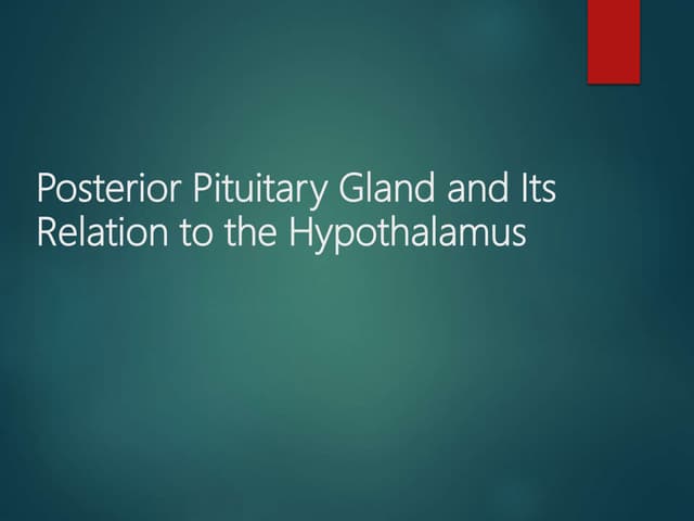 Synthesis of thyroid hormones | PPTX