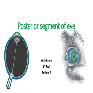 Posterior segment of eye.pdf