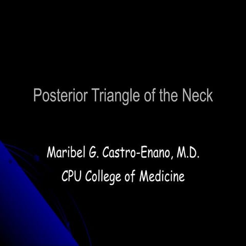 Posterior triangle | PPT
