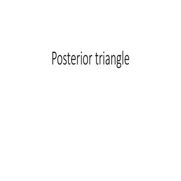 Posterior triangle (1) Dental student / general anatomy .pdf