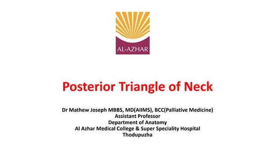Carotid Triangle (Anatomy of the Neck) | PPT