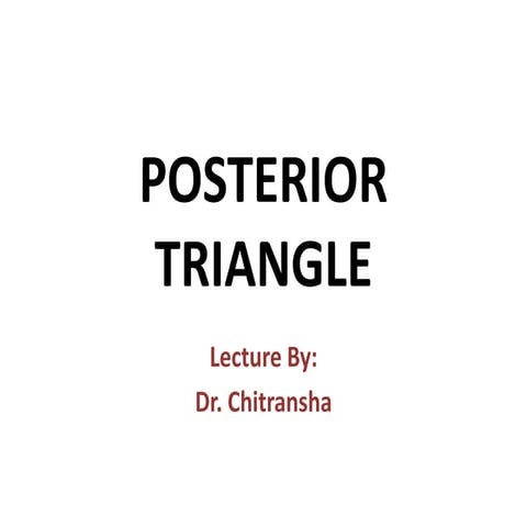 Posterior triangle of the neck | PPTX