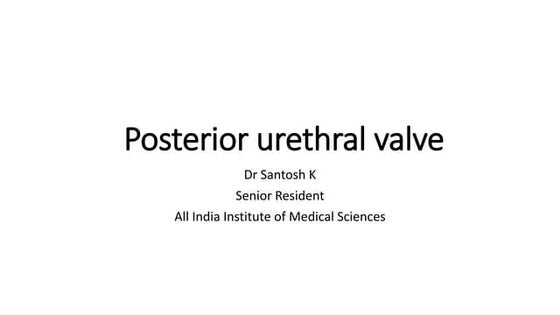 Posterior urethral valves- Pediatric Surgery | PPT