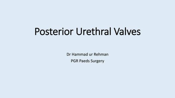 Posterior urethral valves- Pediatric Surgery | PPT