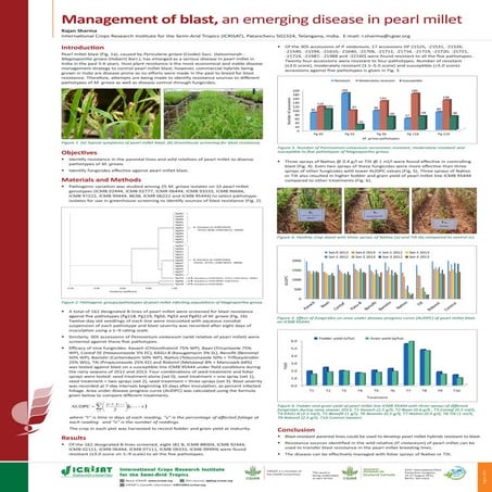 Management of blast, an emerging disease in pearl millet | PDF