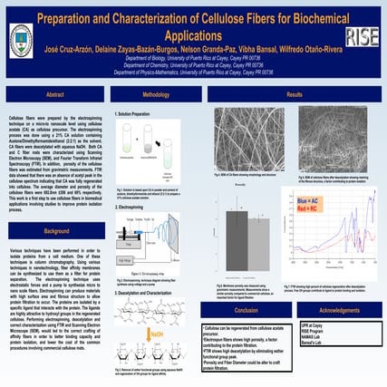 Poster mayo2014revisado1 preparation and characterization of cellulose ...