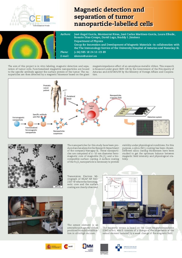 Poster NANOfutures 2010