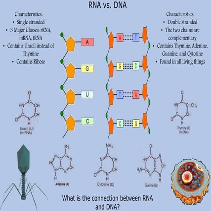 Poster presentation | PPT