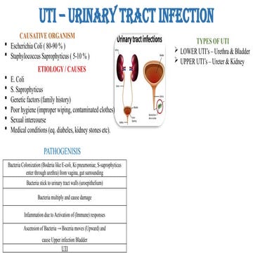 poster presentation [Autosaved].pptx UTI disease | PPT