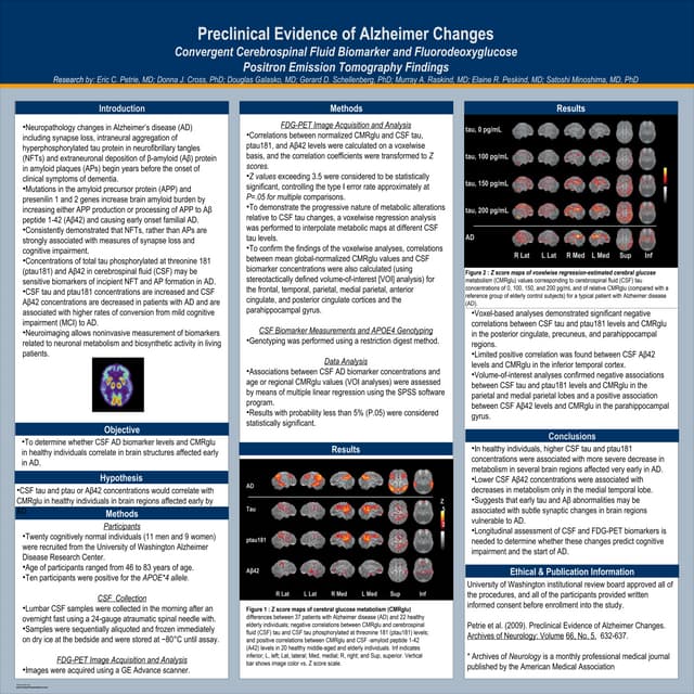 MSc Dissertation Poster | PDF