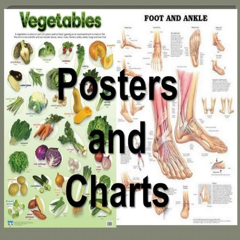 Posters | ODP