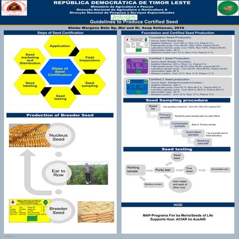 Guidelines to produce certified seed in East Timor | PDF
