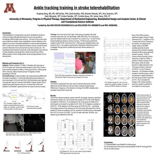 Poster SFN 2010 | PPT