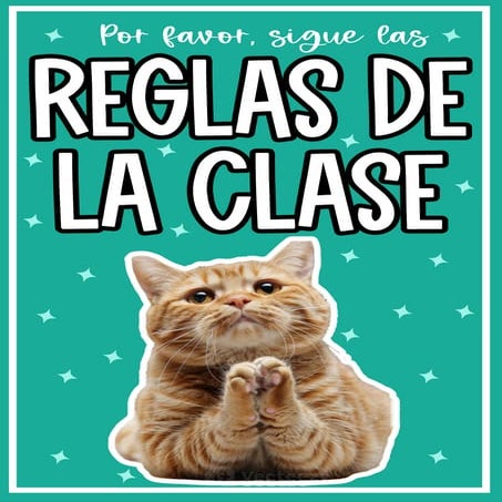 POSTERS GATO - PERRO MEME - SPANISH normas de la clase | PDF