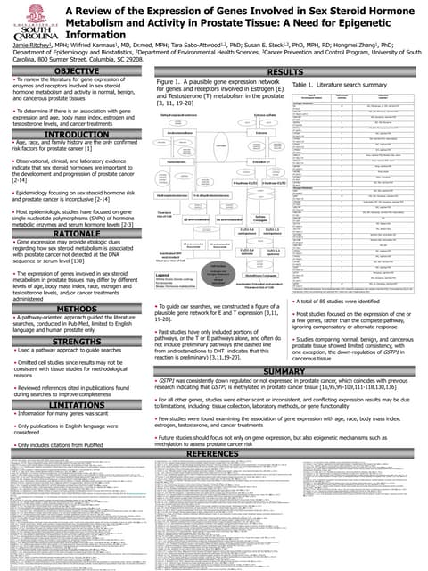 Hepatoxicity Sot 2008 Poster | PPT