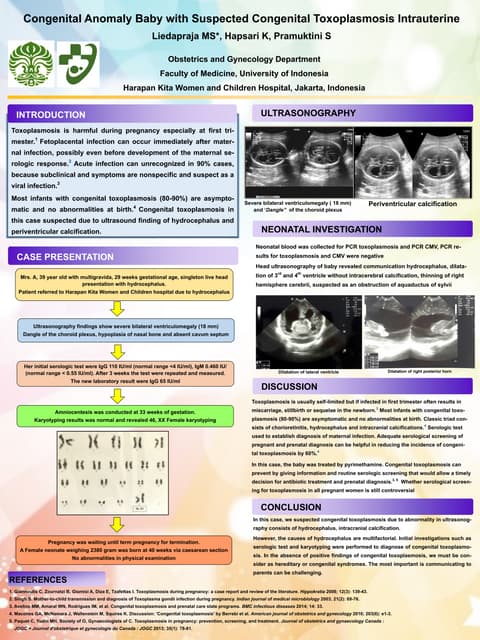 Uterus Septa Longitudinal Komplit, Bikolis, Septum Vagina Parsial | PDF