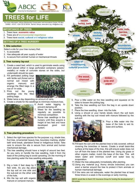 How to Plant a Tree | PPTX