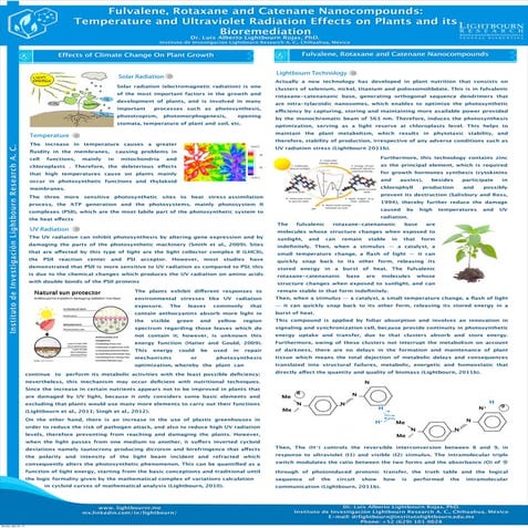 FULVALENE, ROTAXANE & CATENANE NANOCOMPOUNDS | PDF