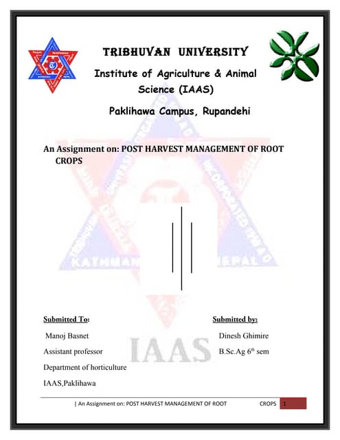 Red rust of tea, litchi and guava | PPTX