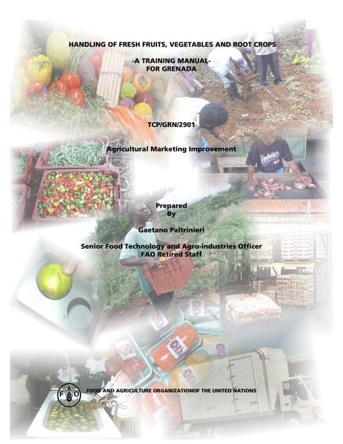 Sorting and Grading | PDF | Grocery Shopping | Shopping