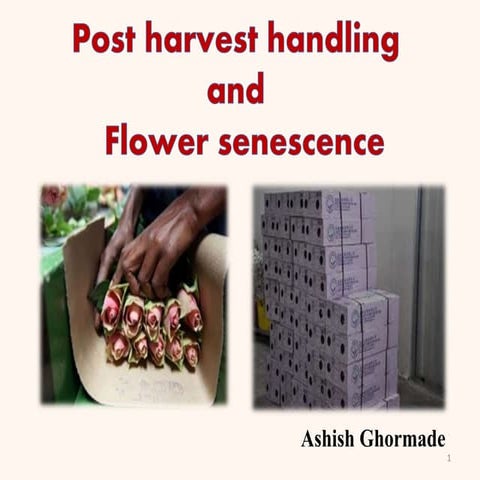 Post harvest handling | PPTX