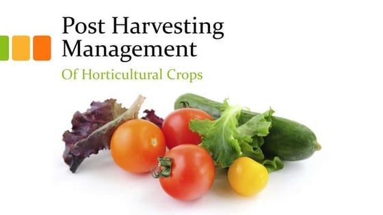 Post harvest handling and transportation | PPT