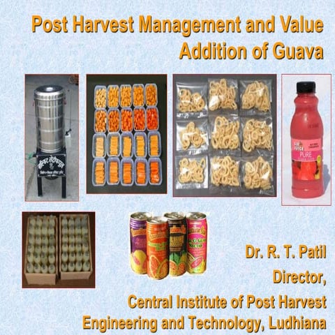Post harvest management and value addition of guava | PPT