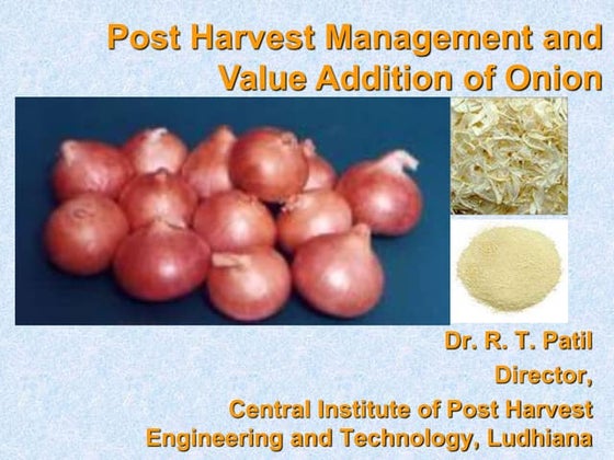Production technology of onion and garlic | PPTX | Gardening | Home ...
