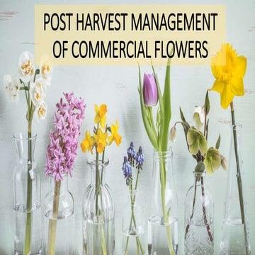 Post harvest Management of commercial flowers.pptx