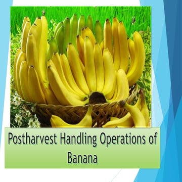 Postharvest presentation.pptx