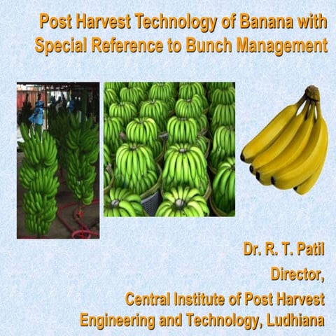 Post harvest technology of banana with special reference to bunch ...