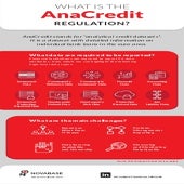 AnaCredit Infografic