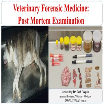 Post mortem Examination of animals and sample collection.pptx