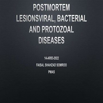 Anatomy of head and cervical region of goat | PPTX