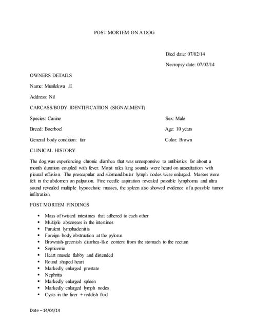 Fecal examination lab report | DOCX | Digestive Disorders | Diseases ...