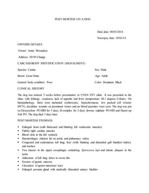 Fecal examination lab report | DOCX | Digestive Disorders | Diseases and Conditions