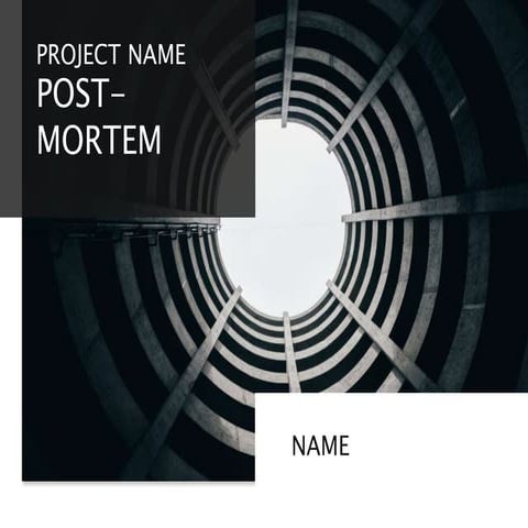Post mortem report | PDF