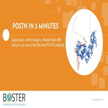 Learn POSTN in 3 minutes | Periostin, OSF2 | PPTX