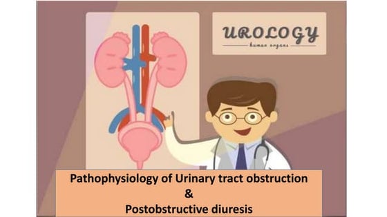Urinary tract obstruction pathophysiology.pptx