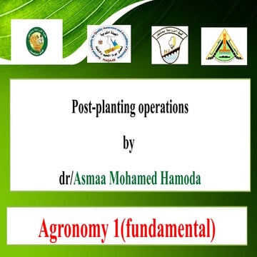 post planting operations and harvesting | PPT