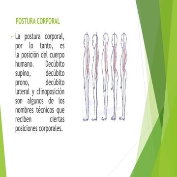 Postura corporal | PPTX