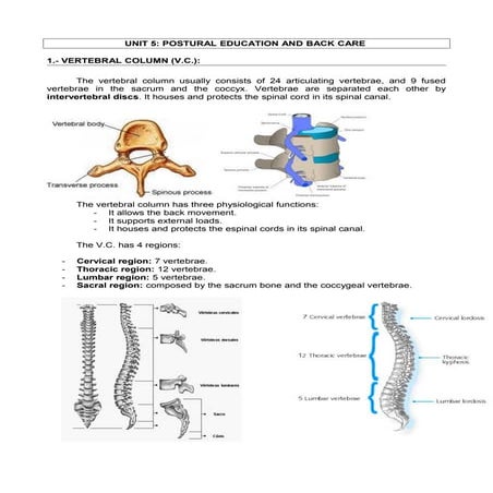Postural education and back care | DOC